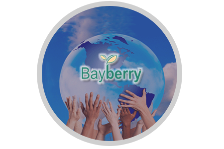About Bayberry Pharma| Bayberry Pharmaceutical Pvt Ltd, Pune.